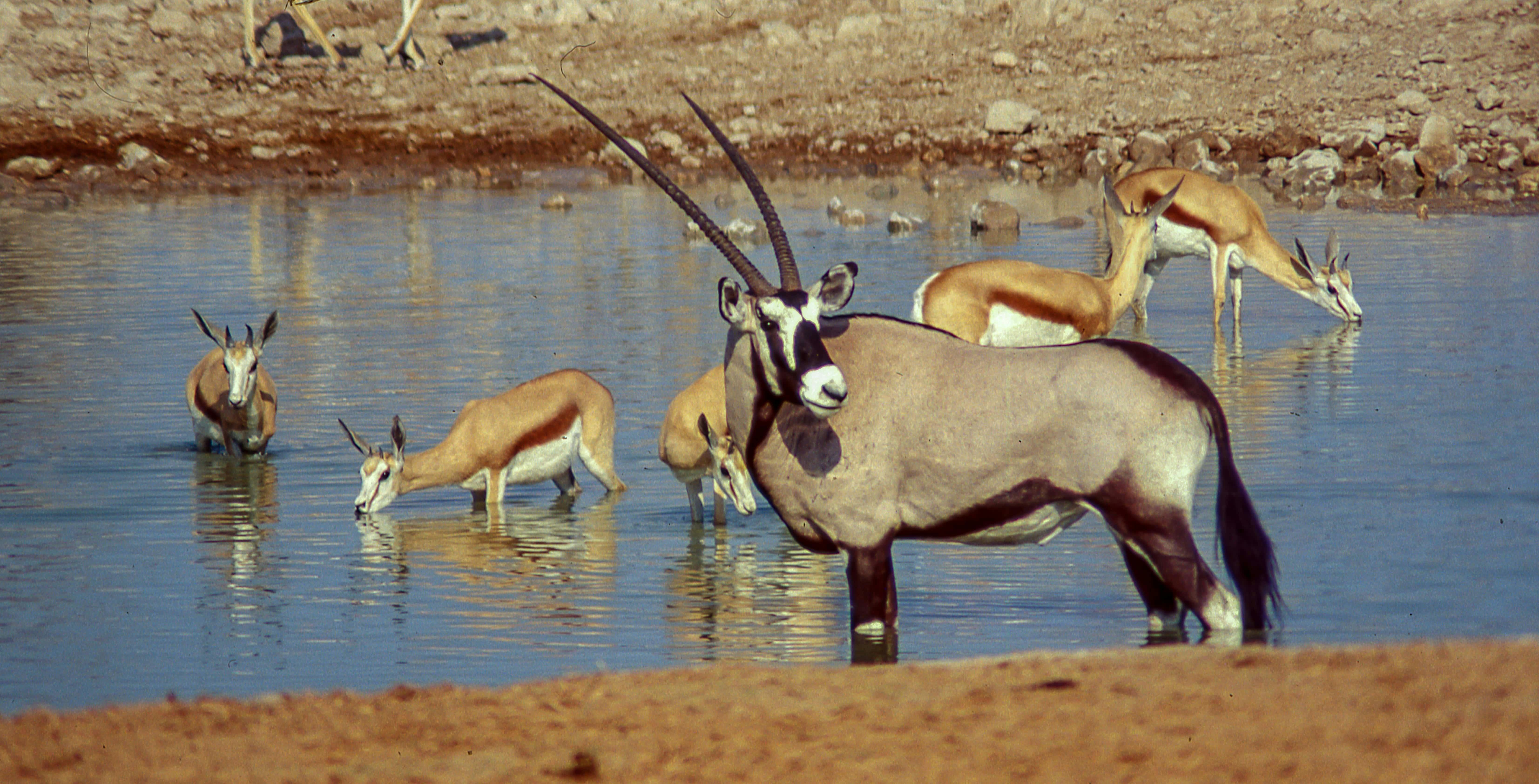 A Guide to Visiting Namibia | Why Visit Namibia | Rainbow Tours