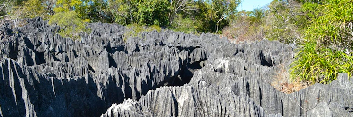 Madagascar Nature | Tsingy, Baobabs, Wildlife and Whales