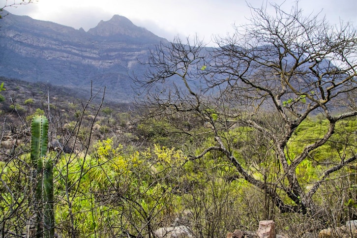 Chaparri Reserve Excursion | Rainbow Tours