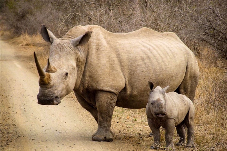 Umkhumbi | Rainbow Tours
