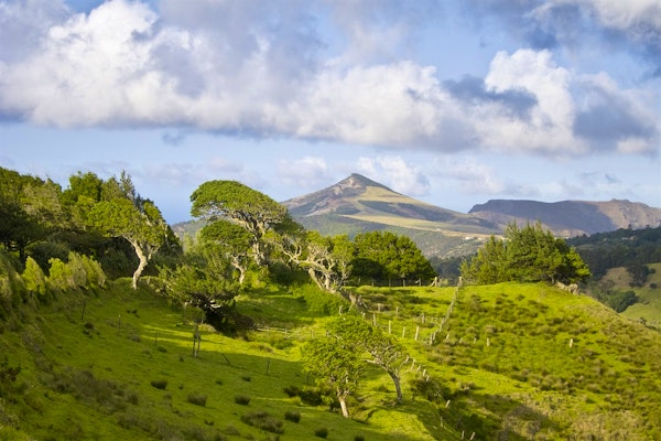 Holidays to St Helena Island 2024/25 | Holiday Packages | Rainbow