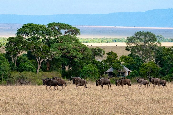 Great Plains Conservation Kenya Safari | Rainbow Tours